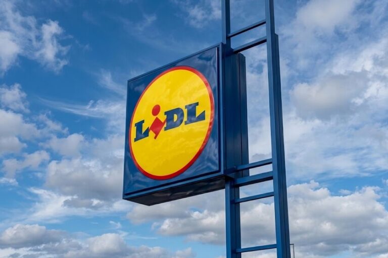 Lidl Debuts a Tool-Free Shower-Organizing Shelf for Under €4 — Arriving ...